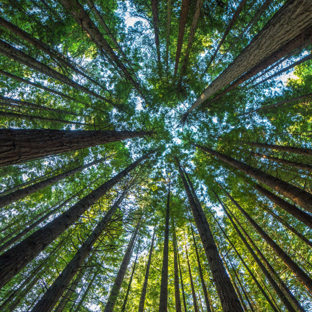 Alpha Card Compact Media – Creating Engagement – Innovative Print